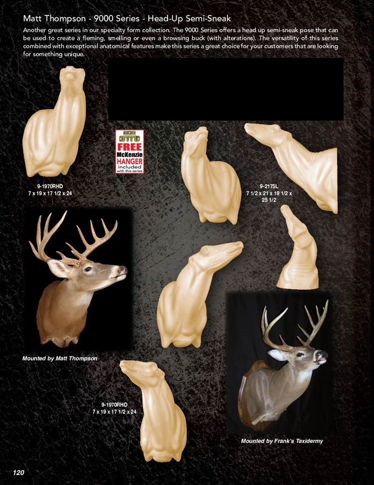 Taxidermy – S&S Taxidermy and Archery Pro Shop LLC.