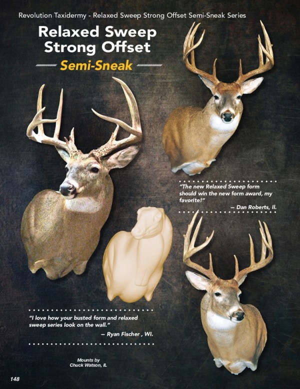 Taxidermy – S&S Taxidermy and Archery Pro Shop LLC.